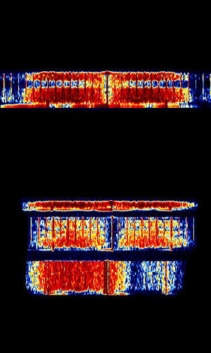 Aircraft Communications Addressing and Reporting System (ACARS ...