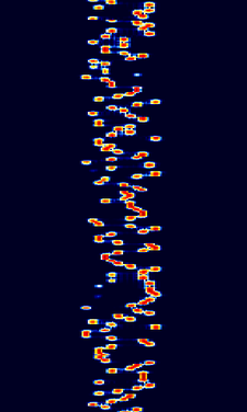 Piccolo - Signal Identification Wiki