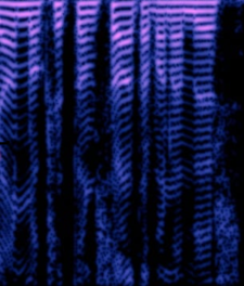 Voice Inversion Scrambling - Signal Identification Wiki