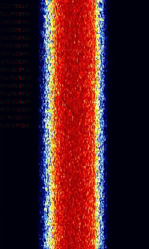 Next Generation Digital Narrowband (NXDN) - Signal Identification Wiki